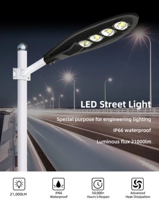 High-Intensity 200W Dolphin Street Light - 6500K